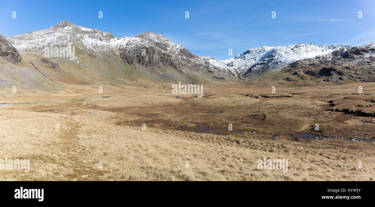 Great moss hi-res stock photography and images - Alamy