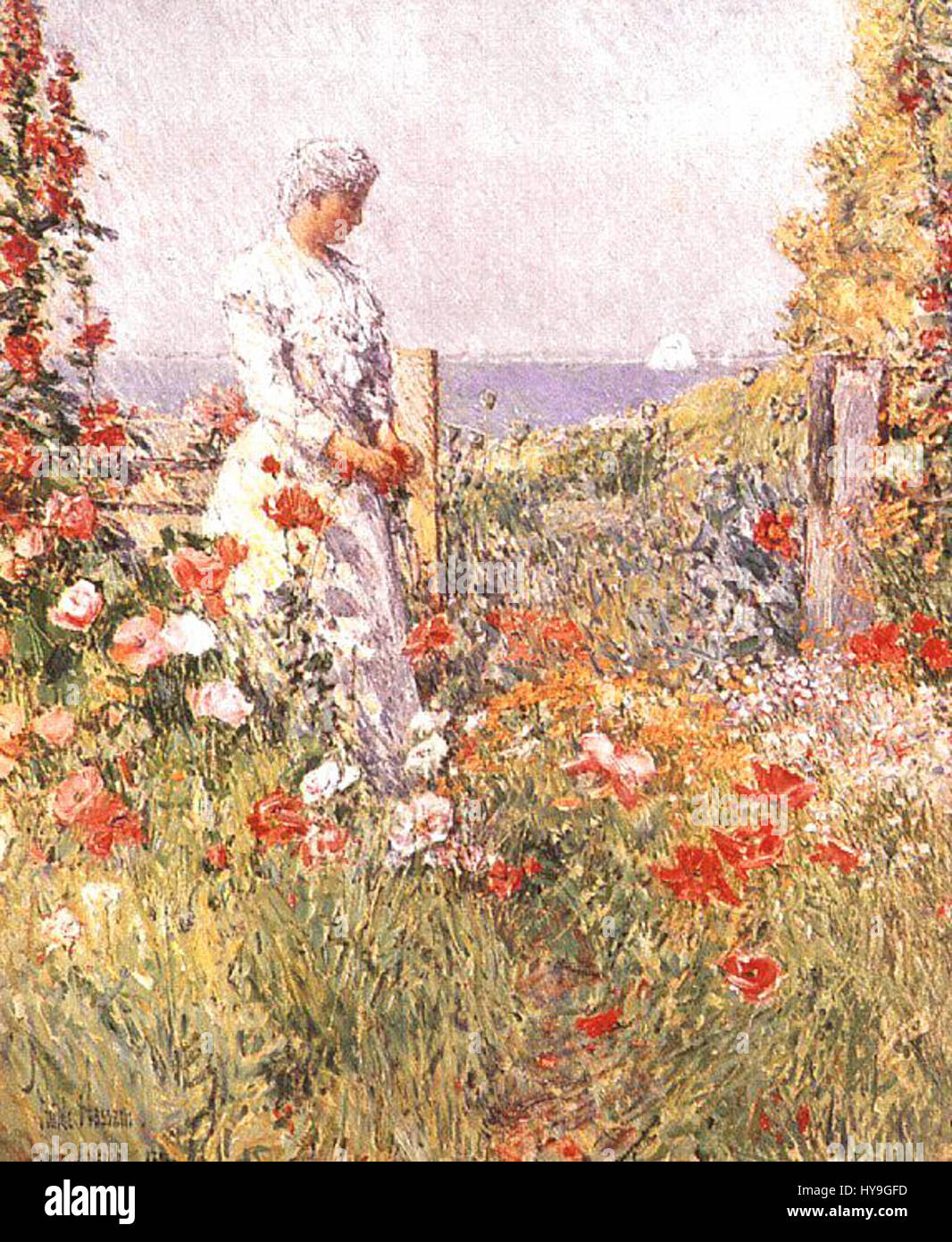 Thaxter hi-res stock photography and images - Alamy