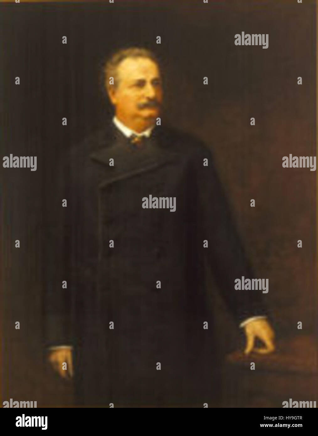 Daniel Manning was a 19th-century American businessman and politician ...