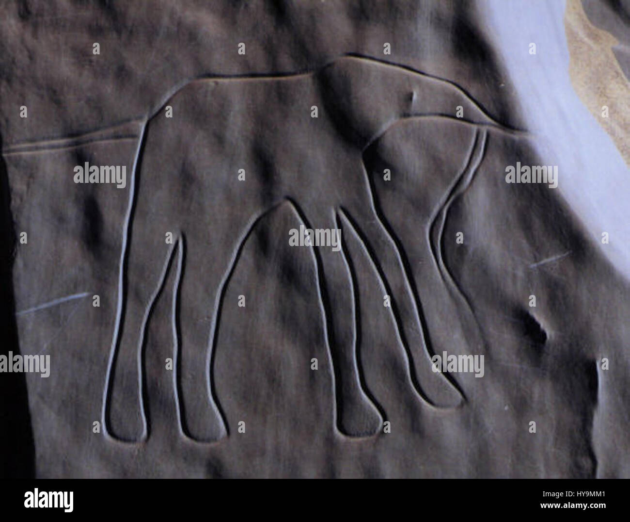 The title refers to a prehistoric subject or artwork, likely exploring ...