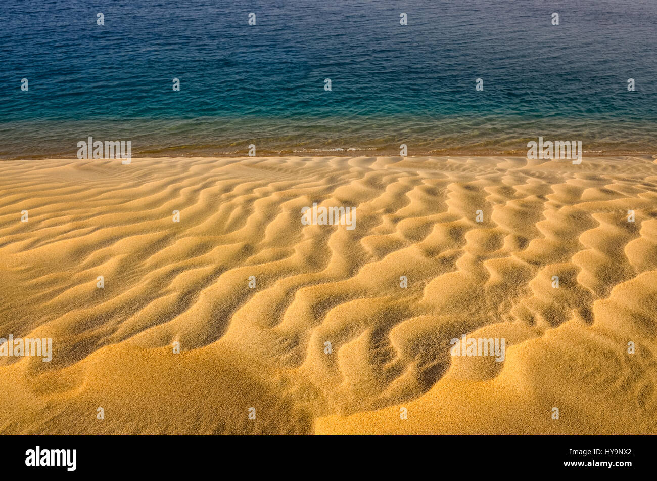 Detail view of contrasting sand dunes and ocean coastline Stock Photo ...