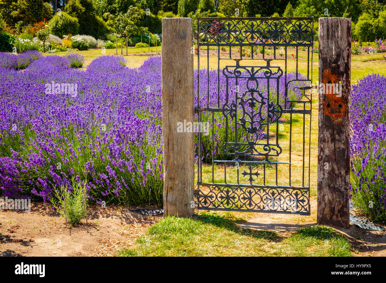 New zealand summer rustic hi-res stock photography and images - Alamy