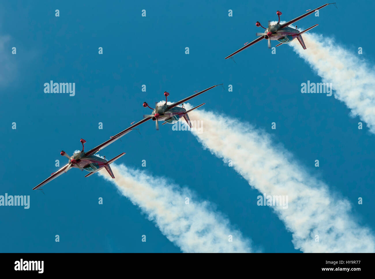 Royal Jordanian Falcons. The Royal Jordanian Falcons is a perennial ...