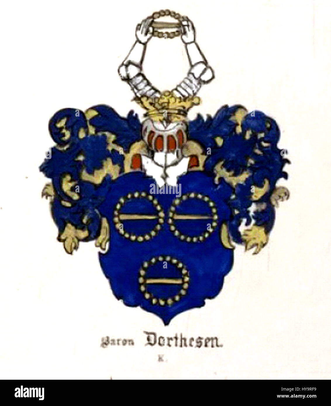 The portrait of Dorthesen Baron is a formal representation, capturing ...