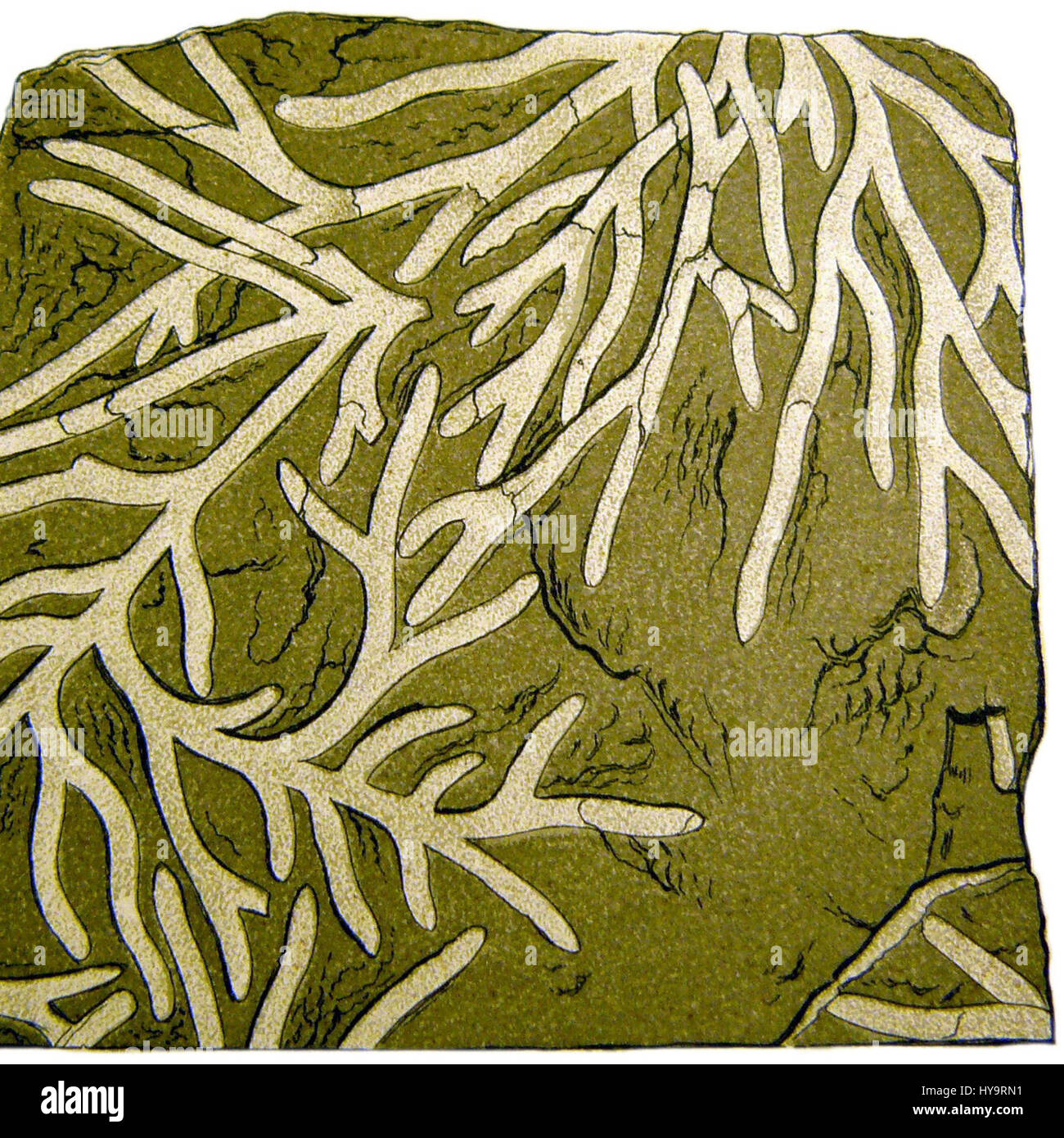 Formation of solar system hi-res stock photography and images - Alamy