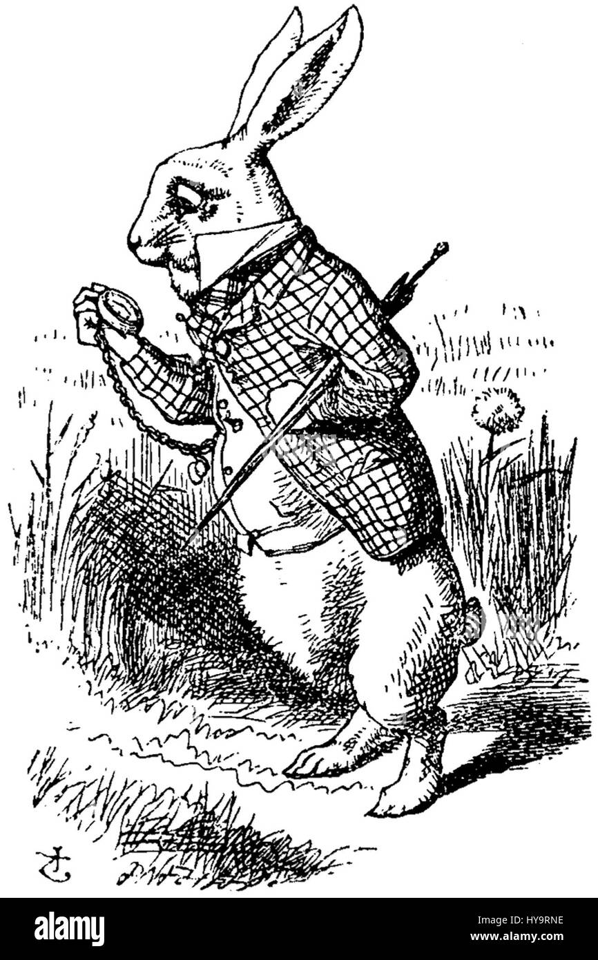'Down the Rabbit Hole' is an exploration of themes related to curiosity ...