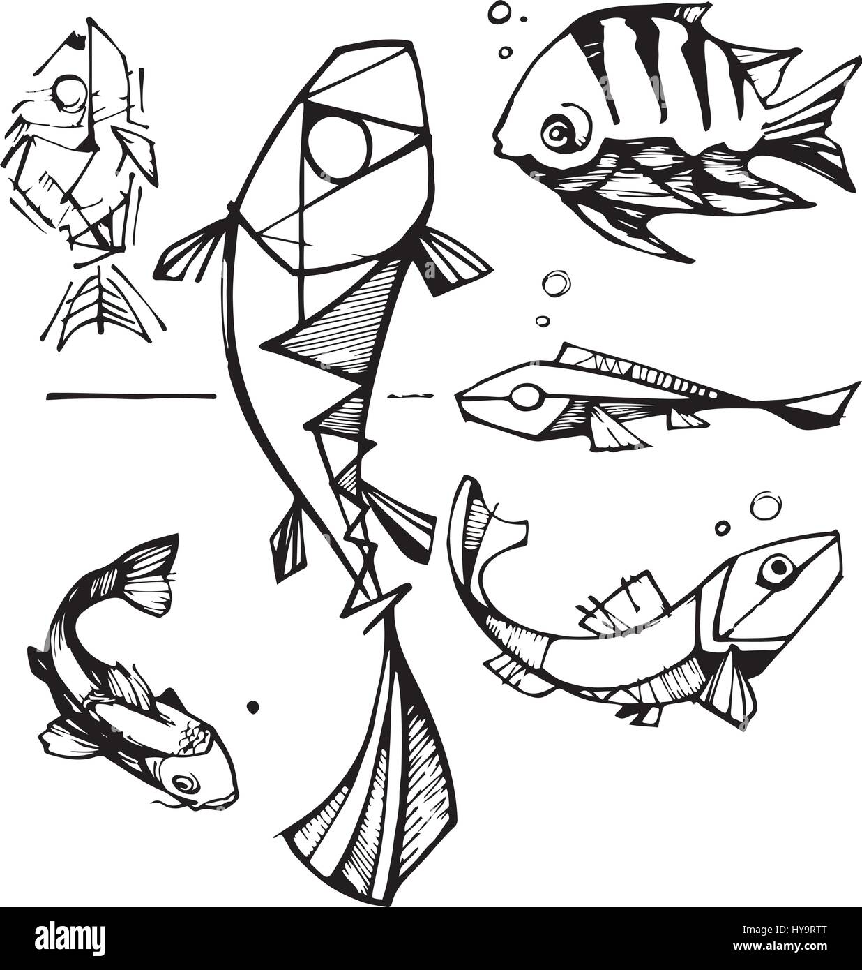 Hand drawn vector illustration or drawing of fishes Stock Vector Image ...