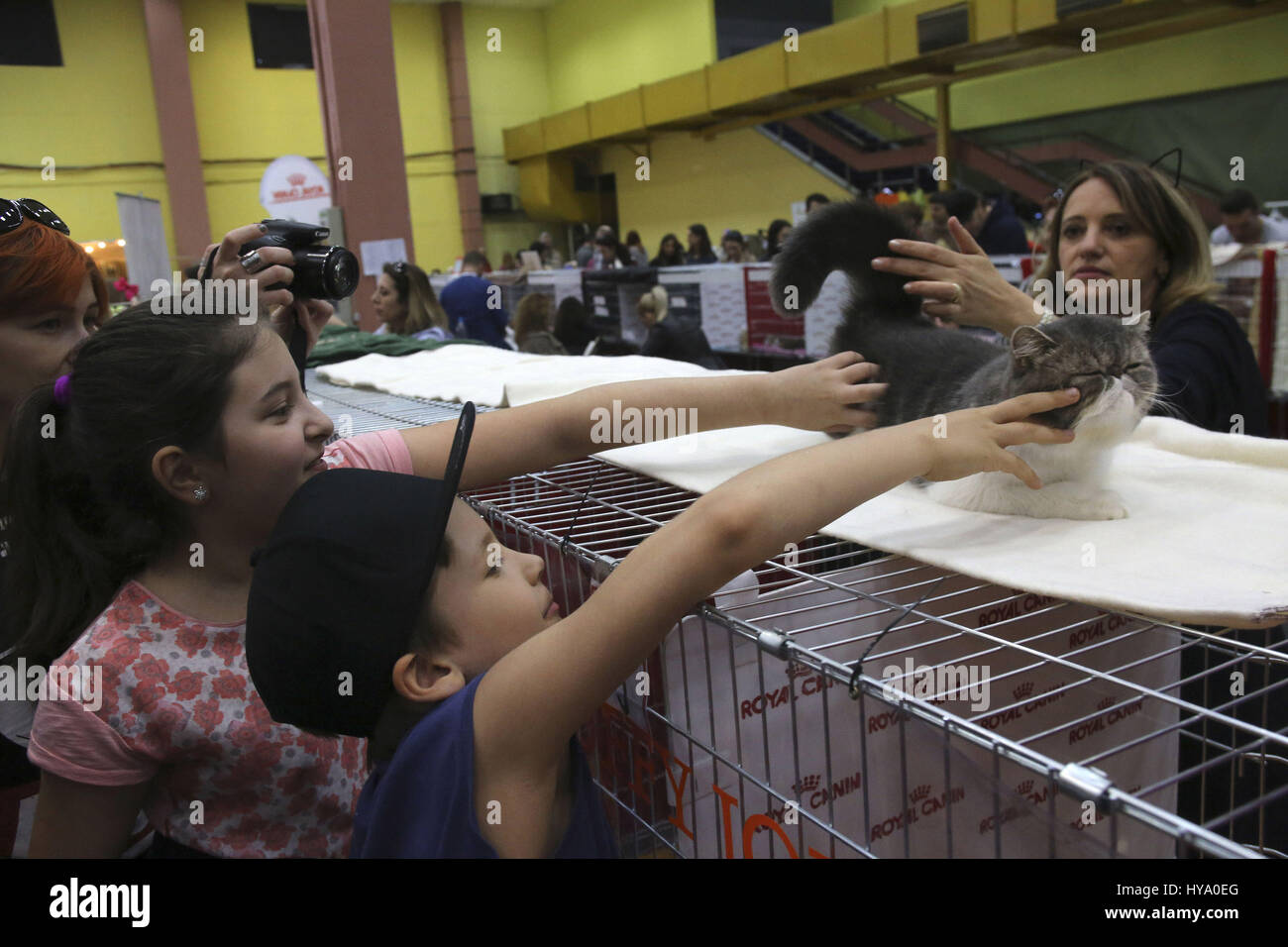 Bucharest, Romania. 2nd Apr, 2017. Two children touch a cat at ...