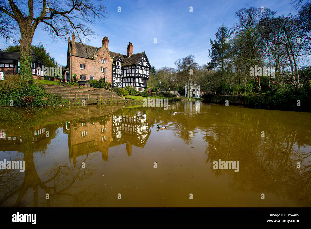 Worsley, UK. 3rd Apr, 2017. Glorious spring sunshine this morning ...