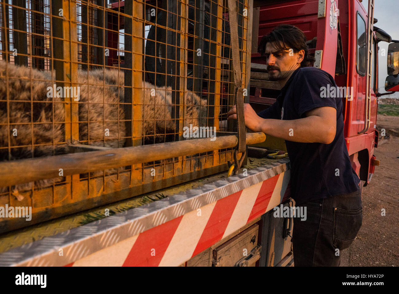 Zoo neglect hi-res stock photography and images - Alamy