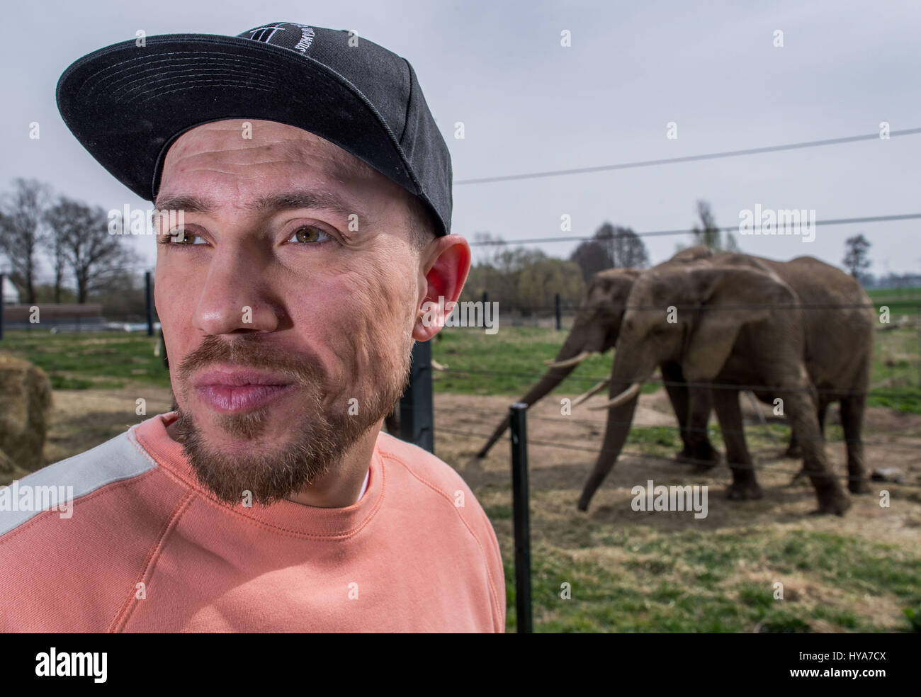 African elephant video hi-res stock photography and images - Alamy