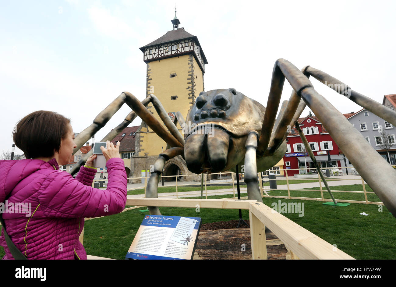 Reutlingen, Germany. 03rd Apr, 2017. An oversized model of a tarantula ...