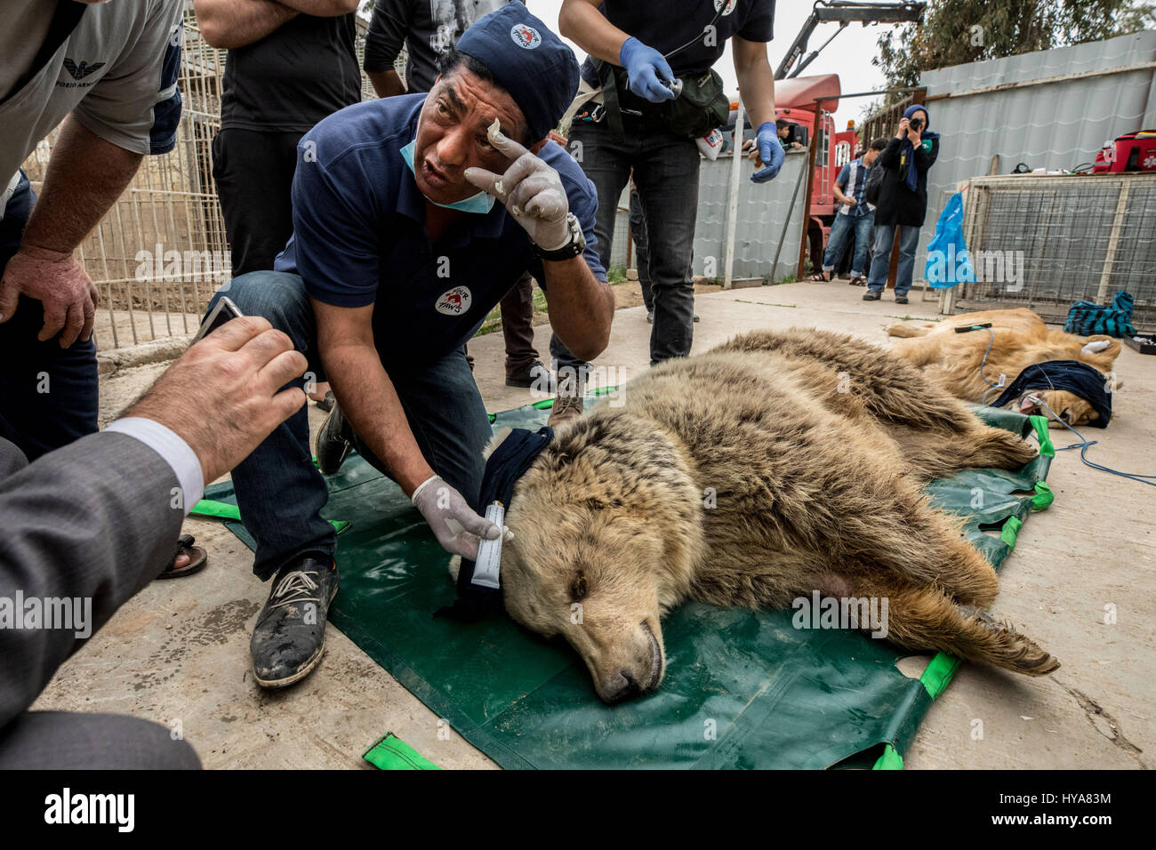 Amir khalil hi-res stock photography and images - Alamy