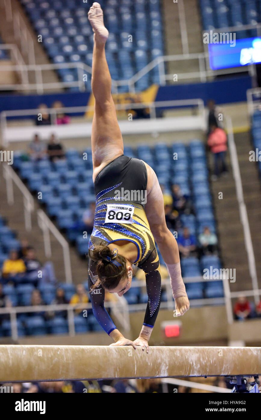 Morgantown, West Virginia, USA. 1st Apr, 2017. WVU gymnast ALEXA ...