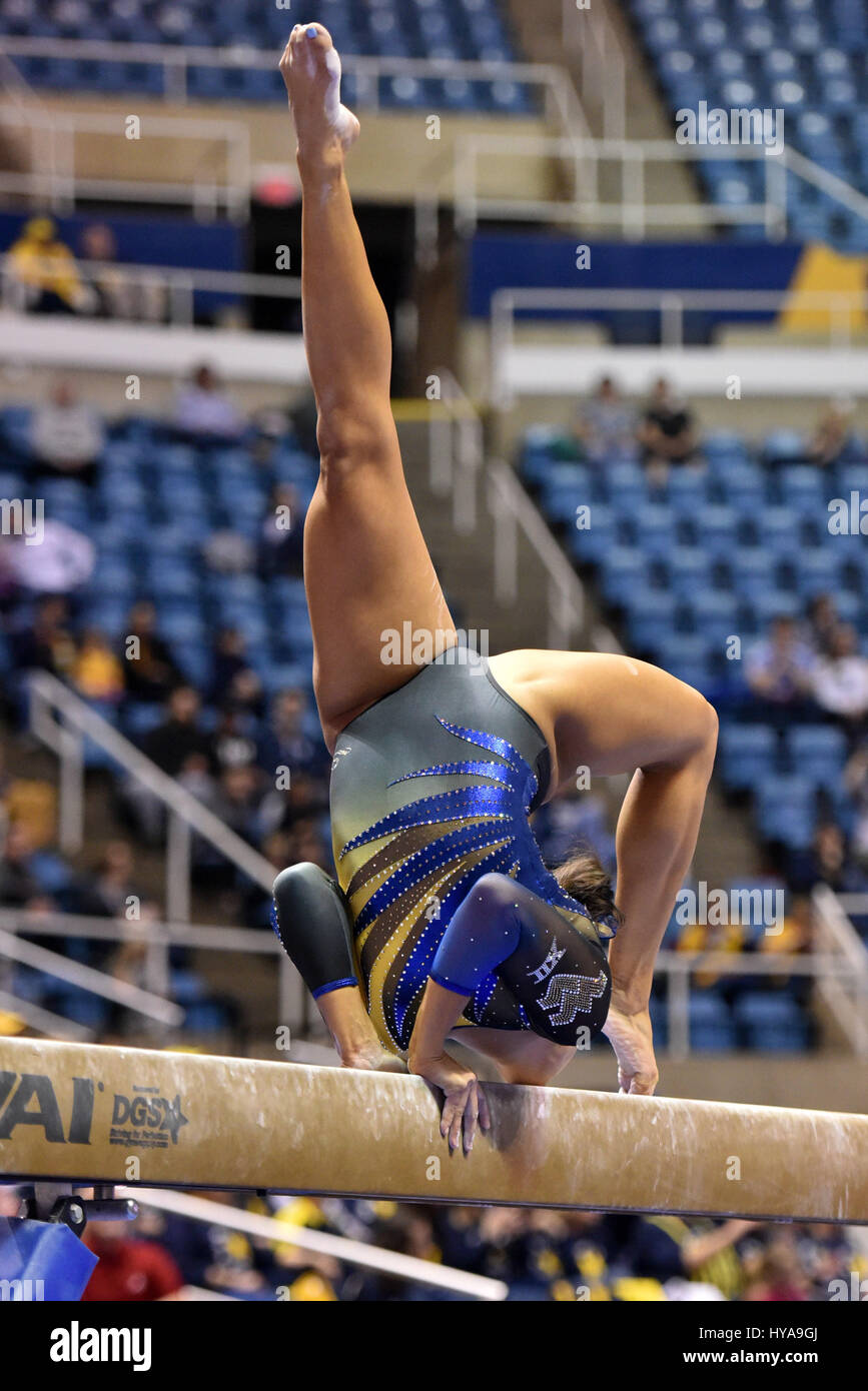 Morgantown, West Virginia, USA. 1st Apr, 2017. WVU gymnast BROOKLYN ...