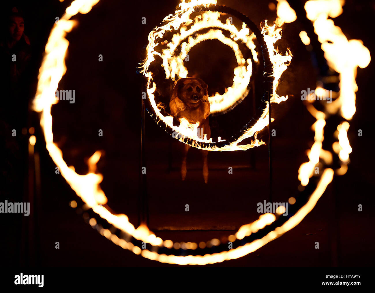 Shenzhen fire hi-res stock photography and images - Alamy
