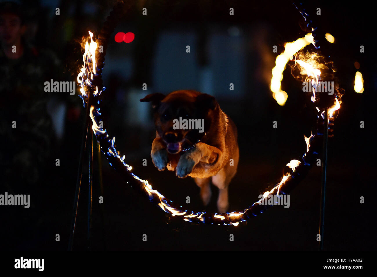Shenzhen fire hi-res stock photography and images - Alamy