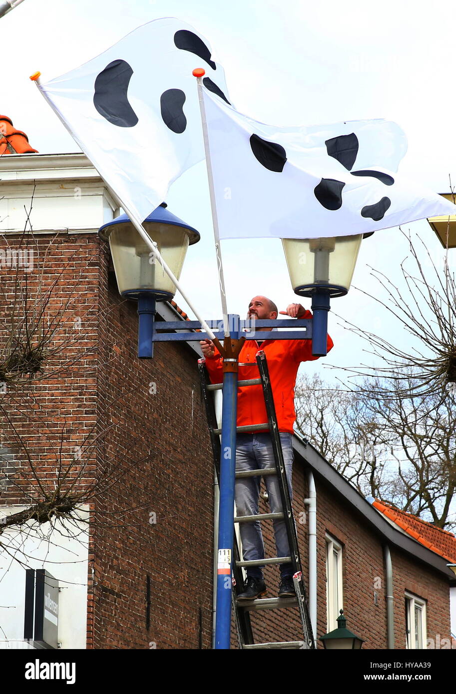 Rhenen, Netherlands. 5th Apr, 2017. A man puts panda flags on a pole in ...