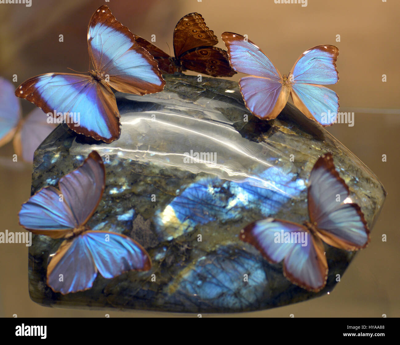 Idar oberstein gemstone hi-res stock photography and images - Alamy