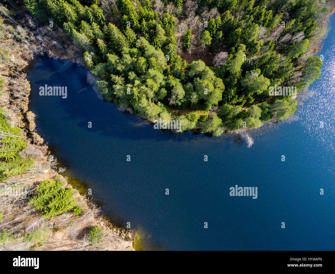 drone image. aerial view of rural area with forest lake in bright ...