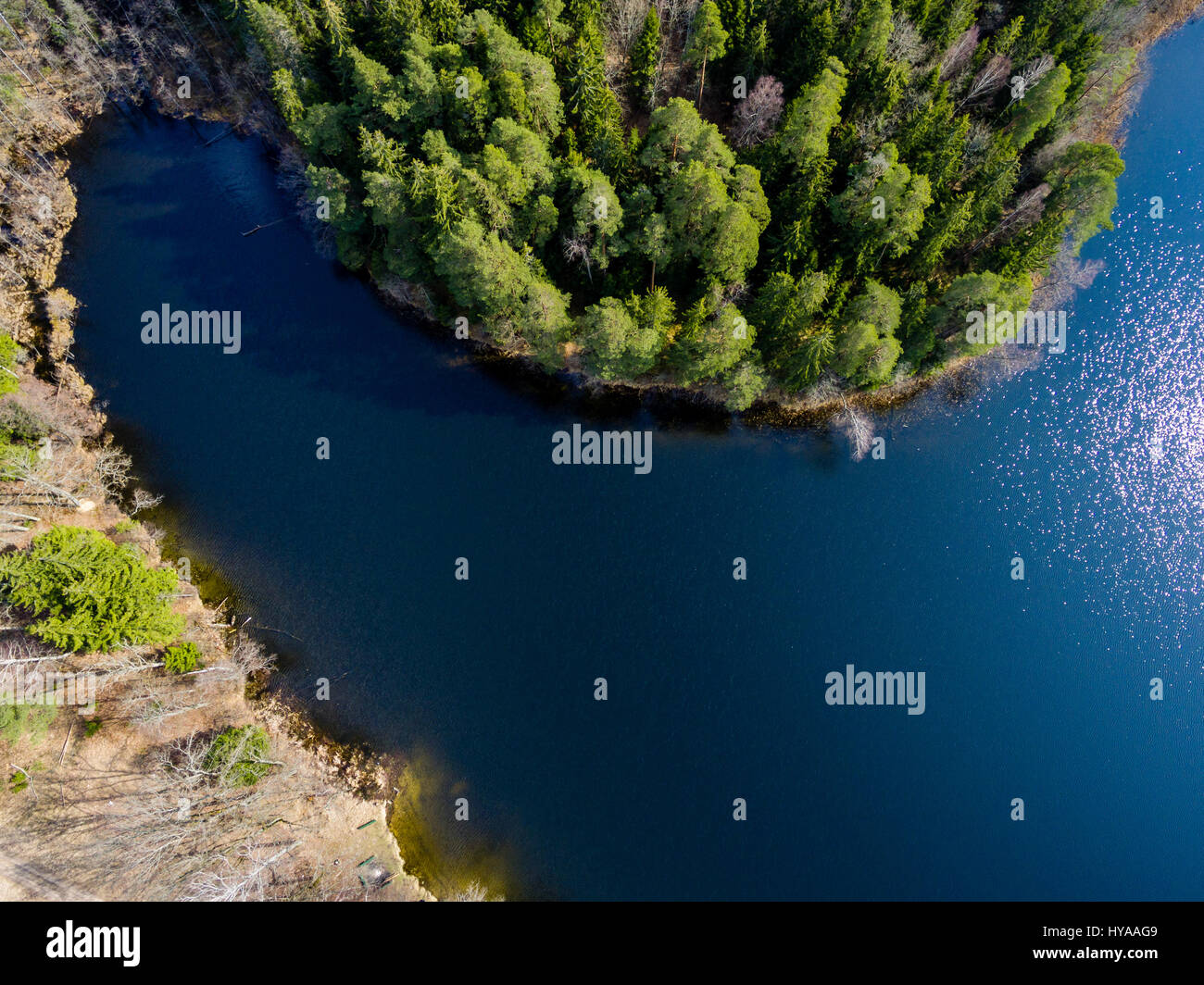 drone image. aerial view of rural area with forest lake in bright ...