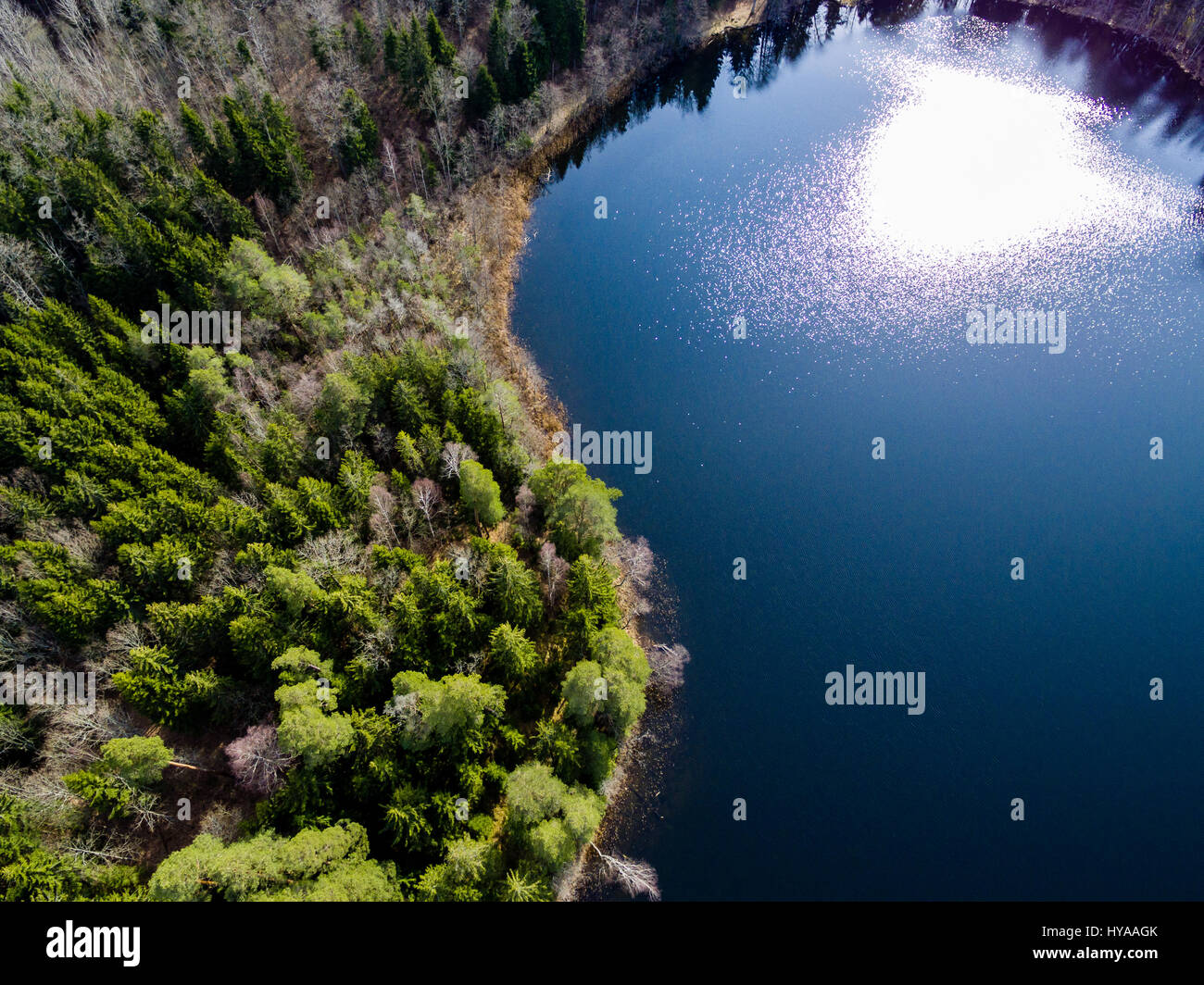 drone image. aerial view of rural area with forest lake in bright ...