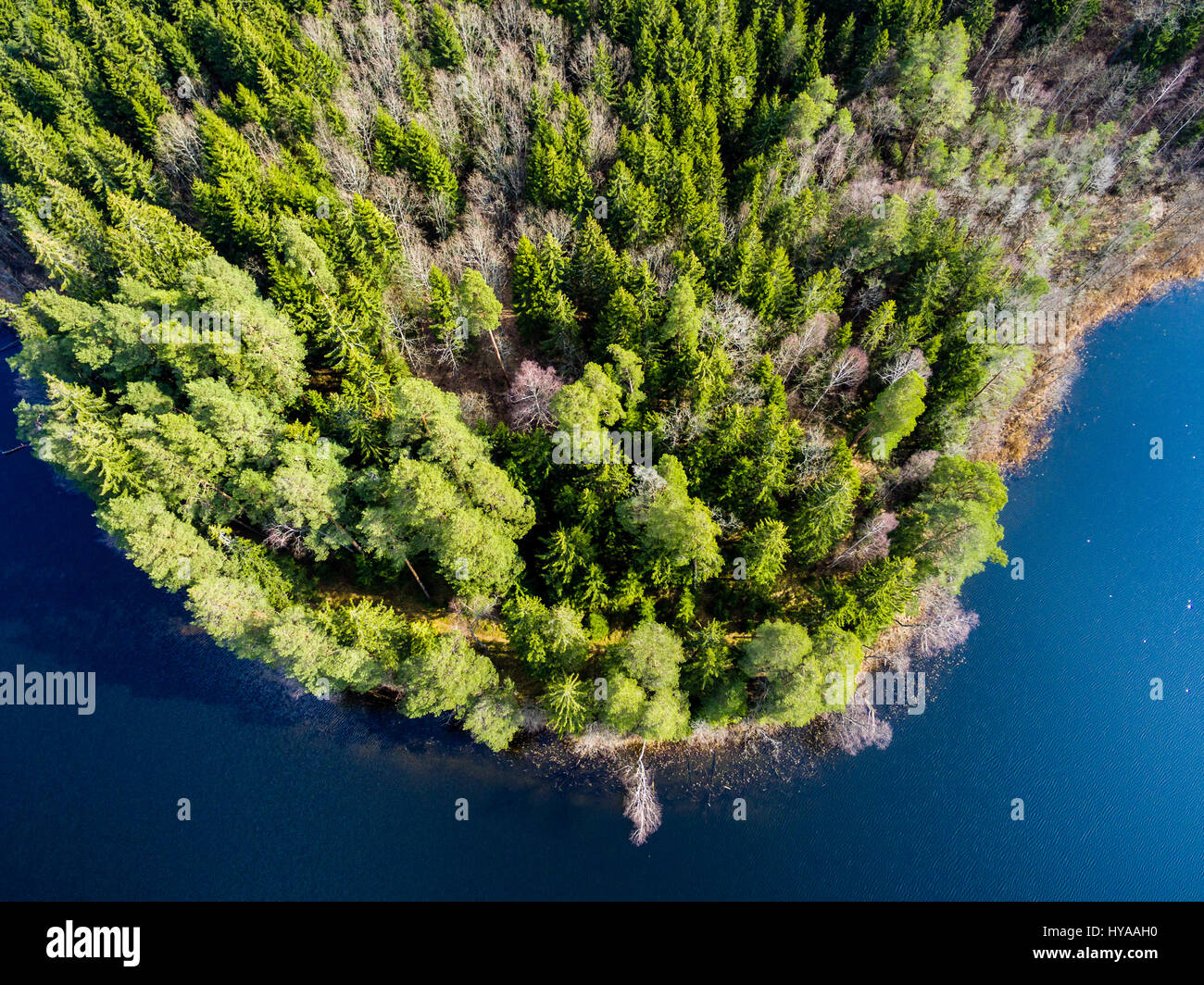 drone image. aerial view of rural area with forest lake in bright ...