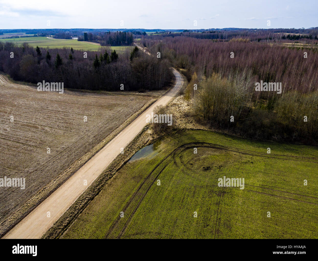 drone image. aerial view of rural area with freshly green fields ...