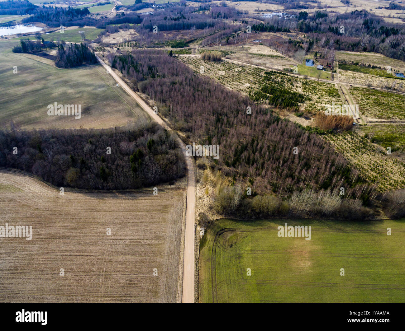 drone image. aerial view of rural area with freshly green fields ...
