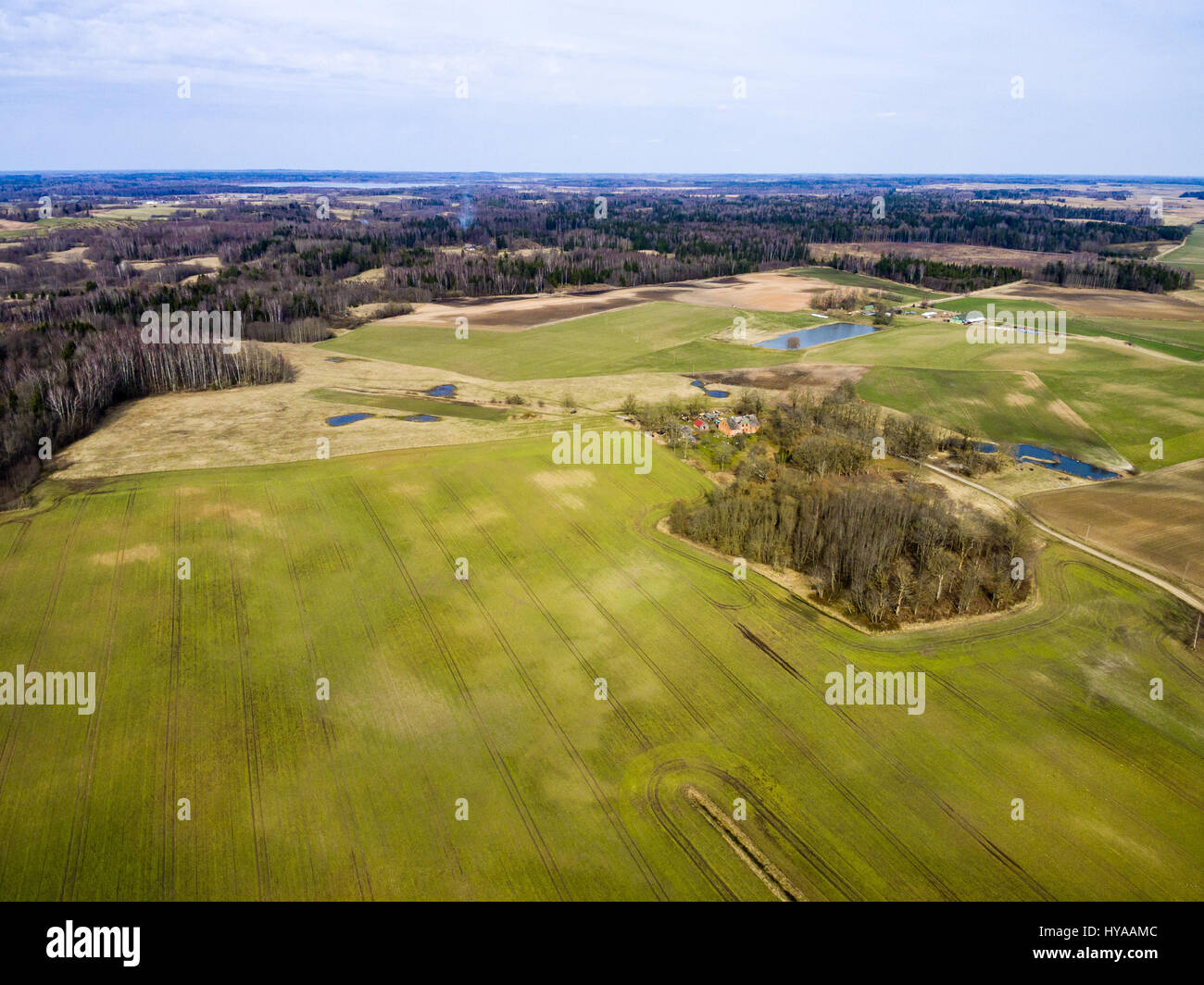 drone image. aerial view of rural area with freshly green fields ...