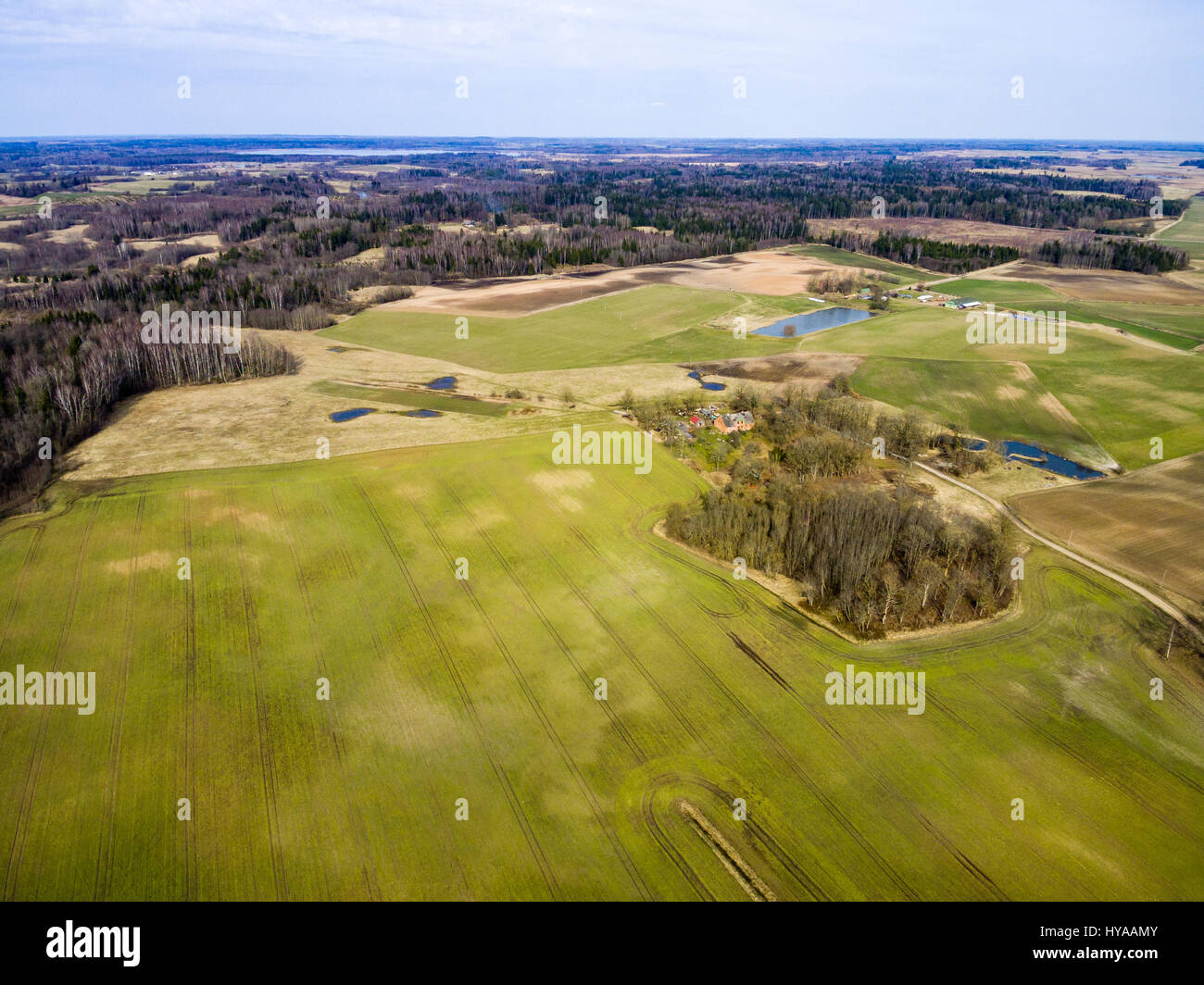 drone image. aerial view of rural area with freshly green fields ...