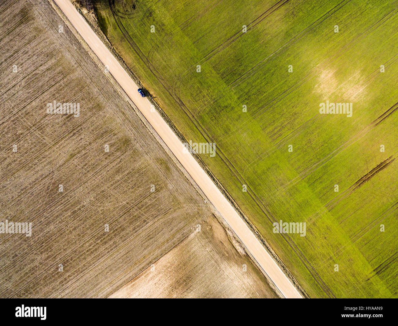 drone image. aerial view of rural area with freshly green fields ...