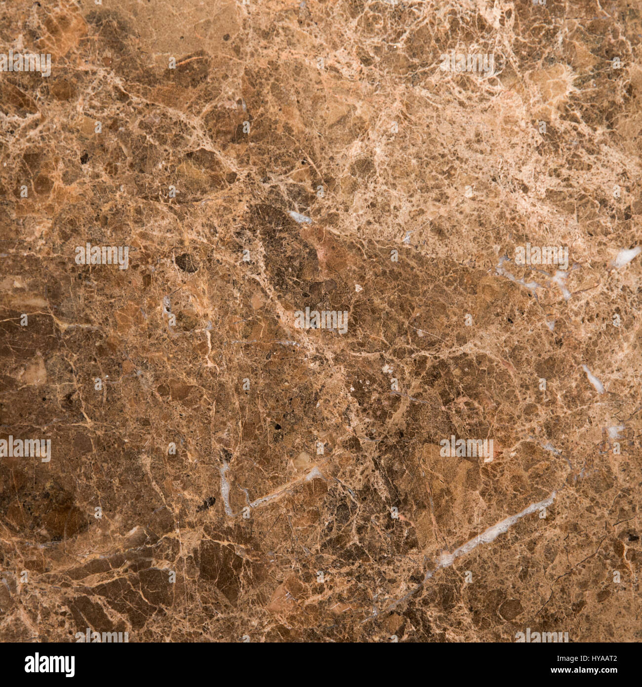 Brown Marble Seamless Brown Marble Shades | Stone Kahuna