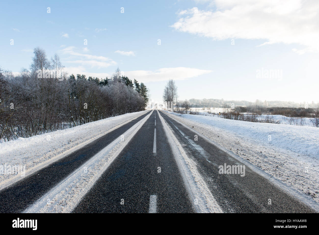empty road in the countryside with trees in surrounding. perspective in ...