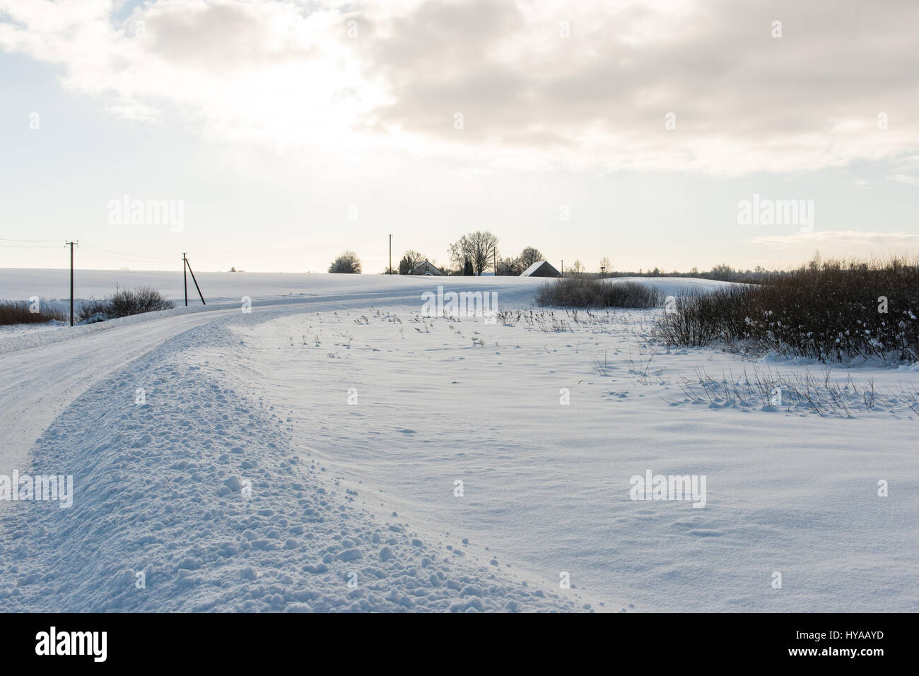 empty road in the countryside with trees in surrounding. perspective in ...