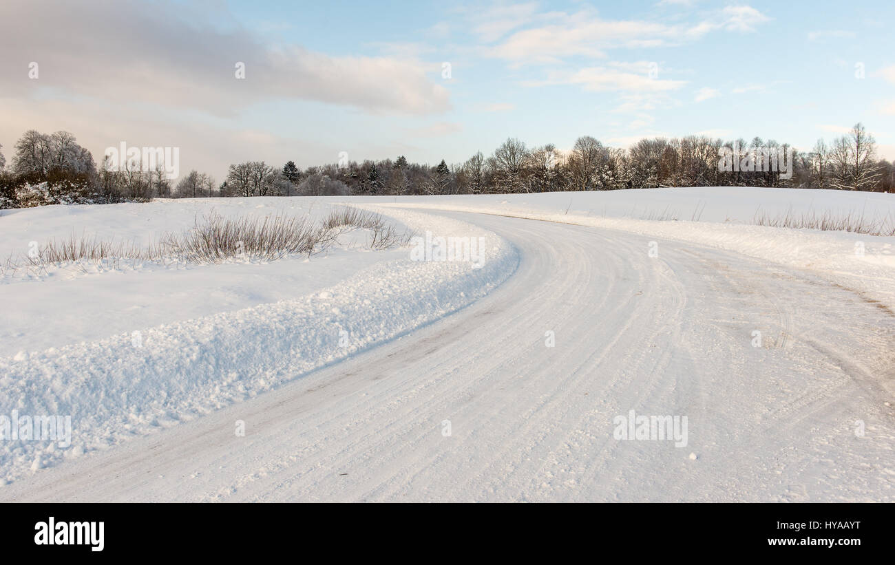 empty road in the countryside with trees in surrounding. perspective in ...