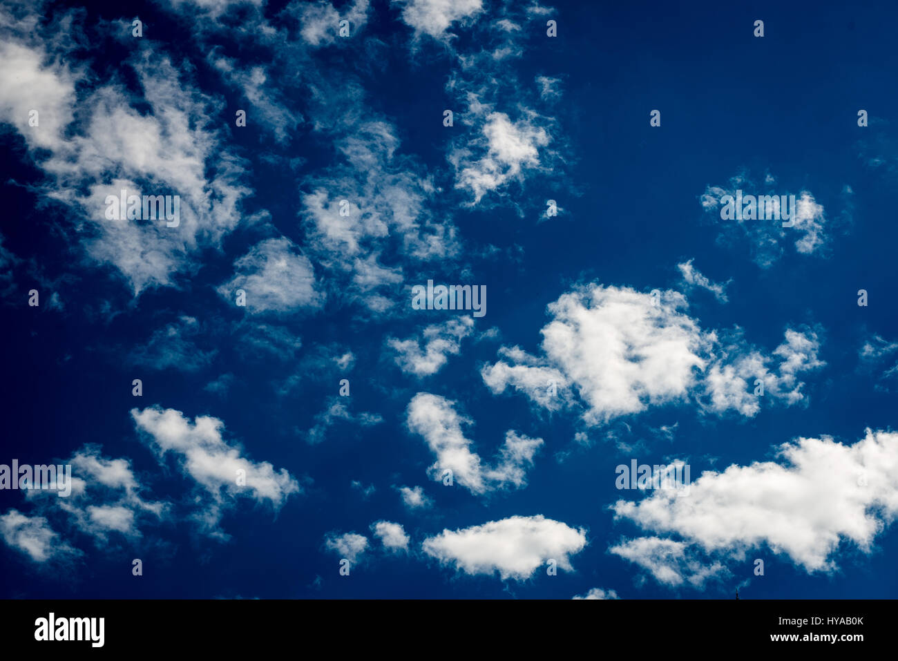 dark blue sky over trees in countryside Stock Photo - Alamy