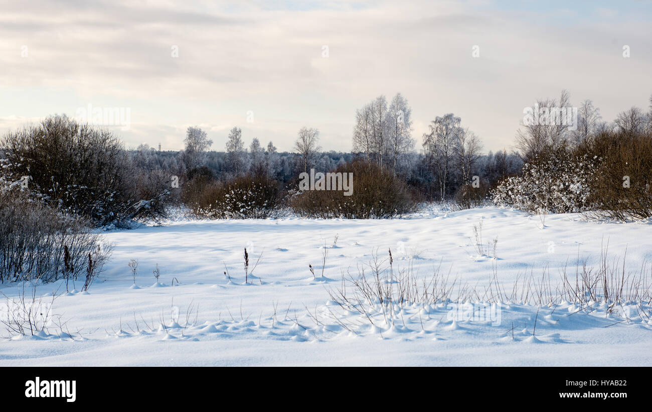 cold morning in the field in winter at countryside with snow and blue ...