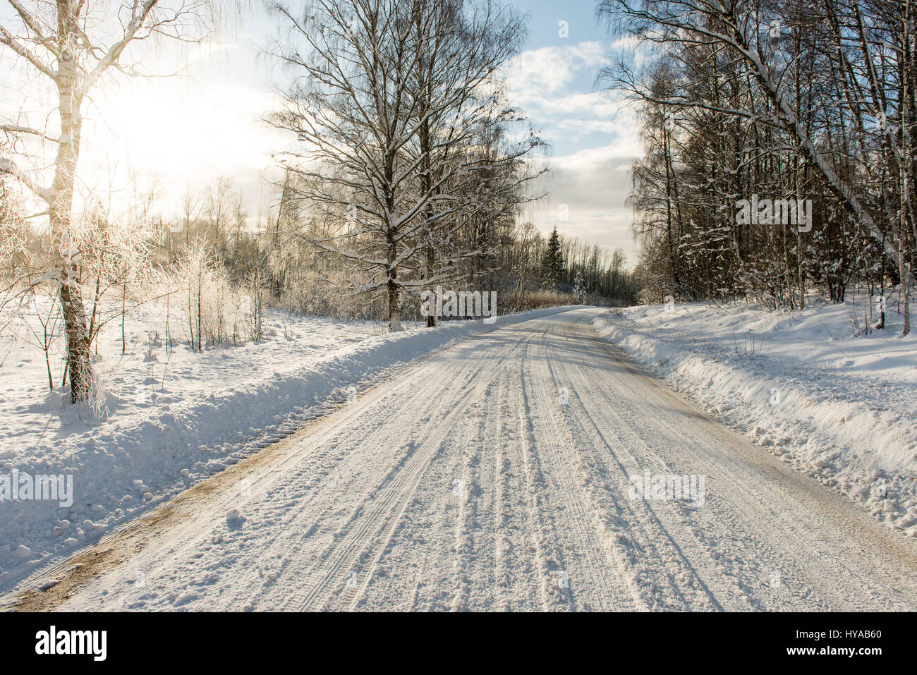 empty road in the countryside with trees in surrounding. perspective in ...
