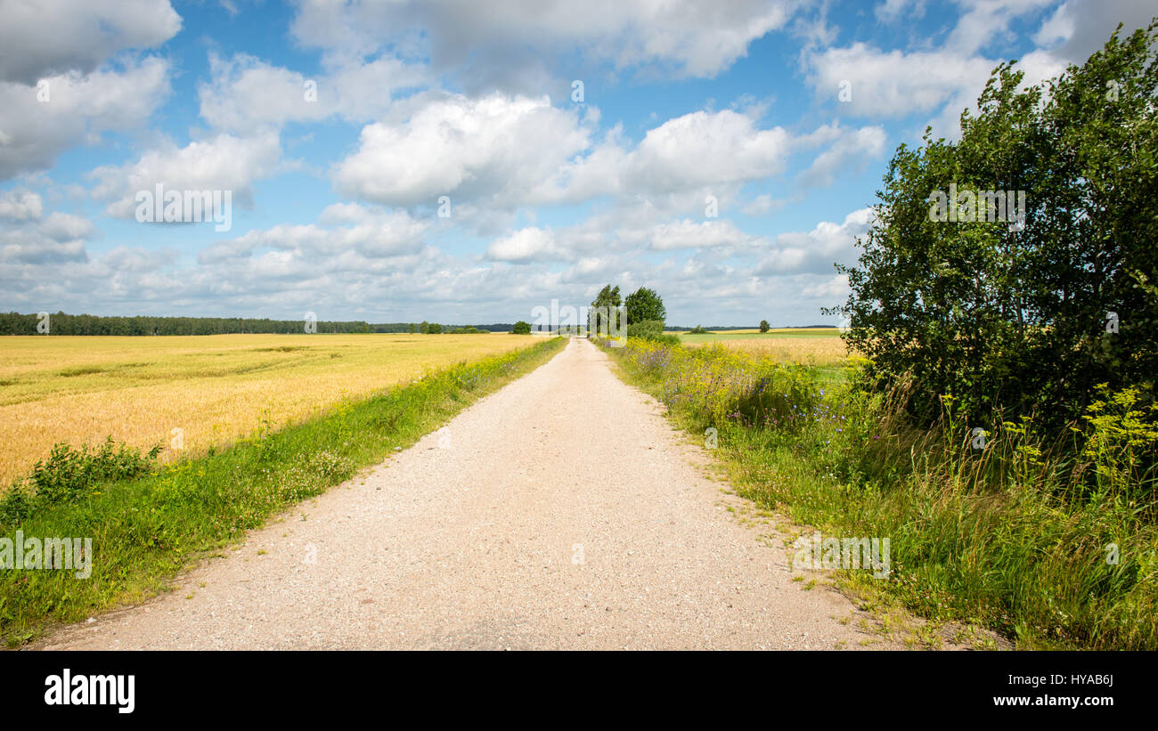 simple country road in summer at countryside with trees around Stock ...