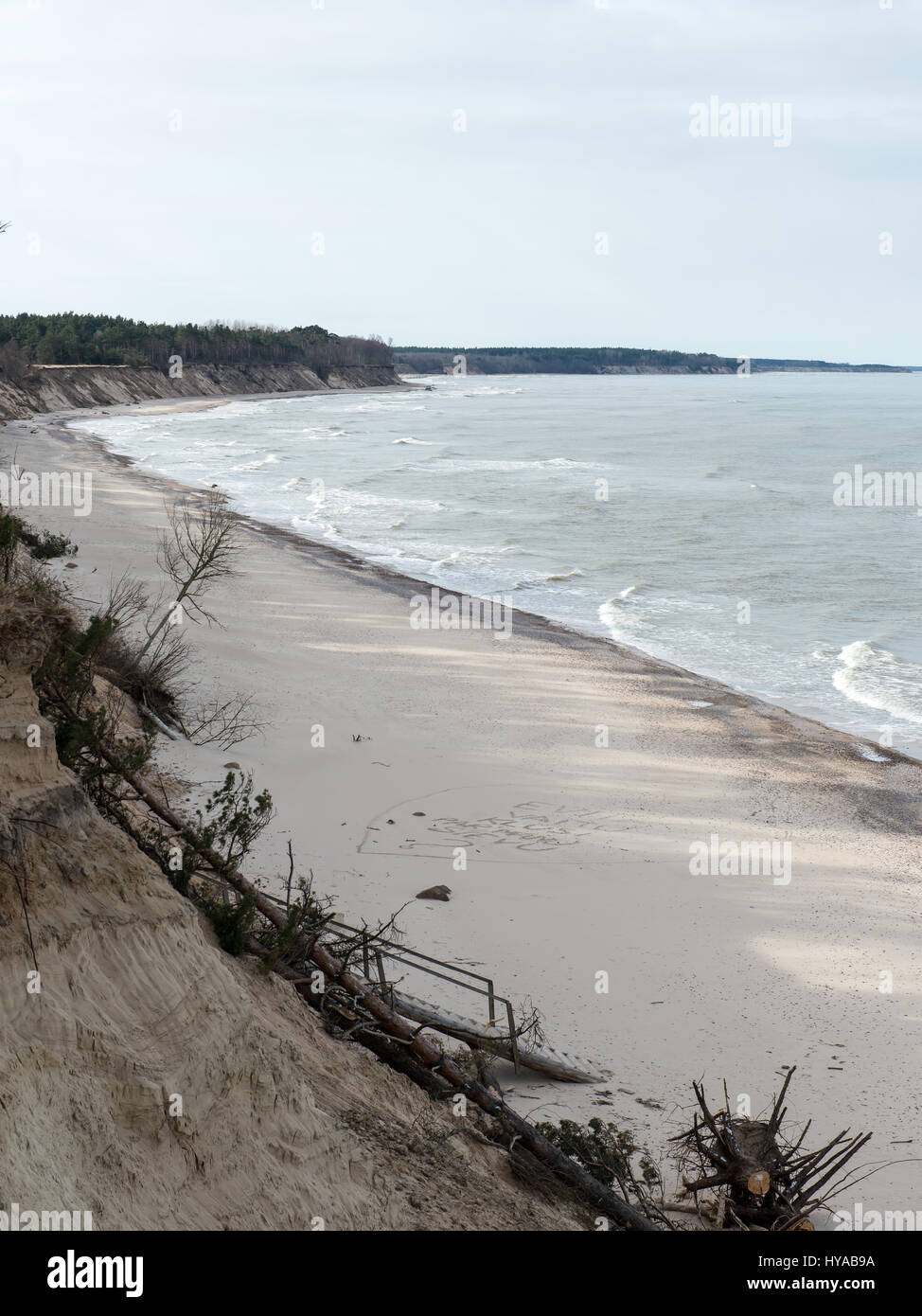 wild beach with old tree trunks and clouds over the shore Stock Photo ...