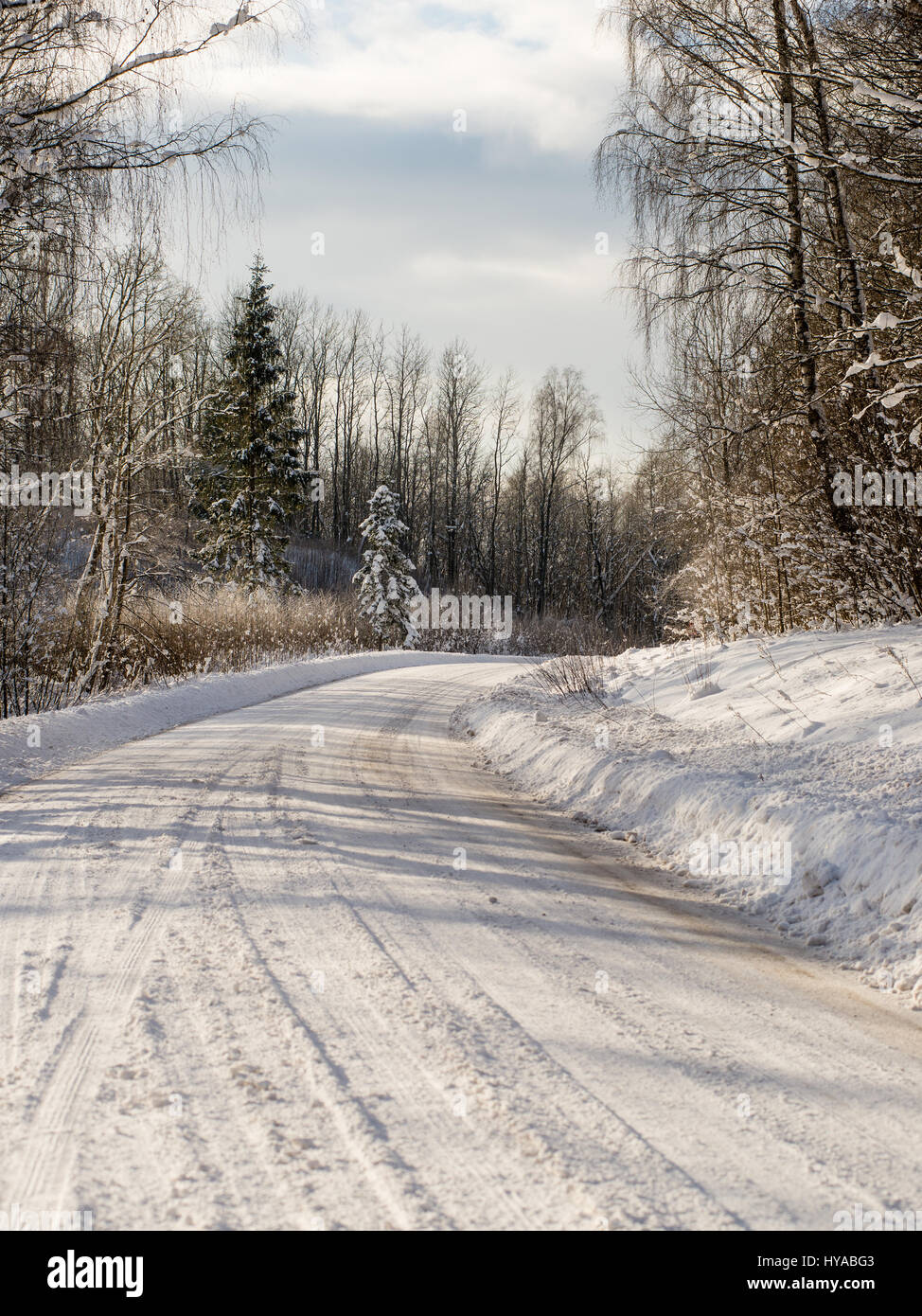 empty road in the countryside with trees in surrounding. perspective in ...