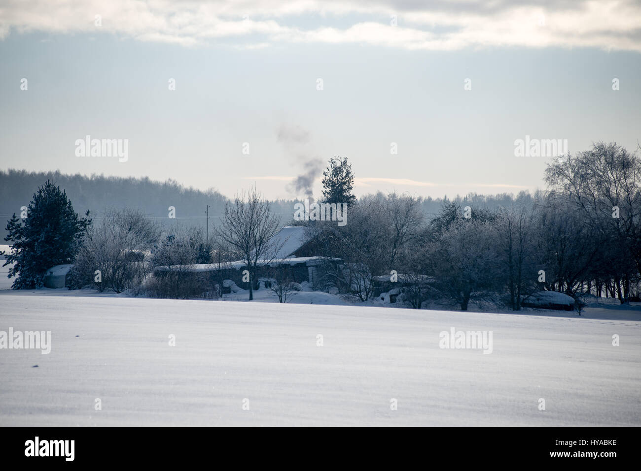 cold morning in the field in winter at countryside with snow and blue ...
