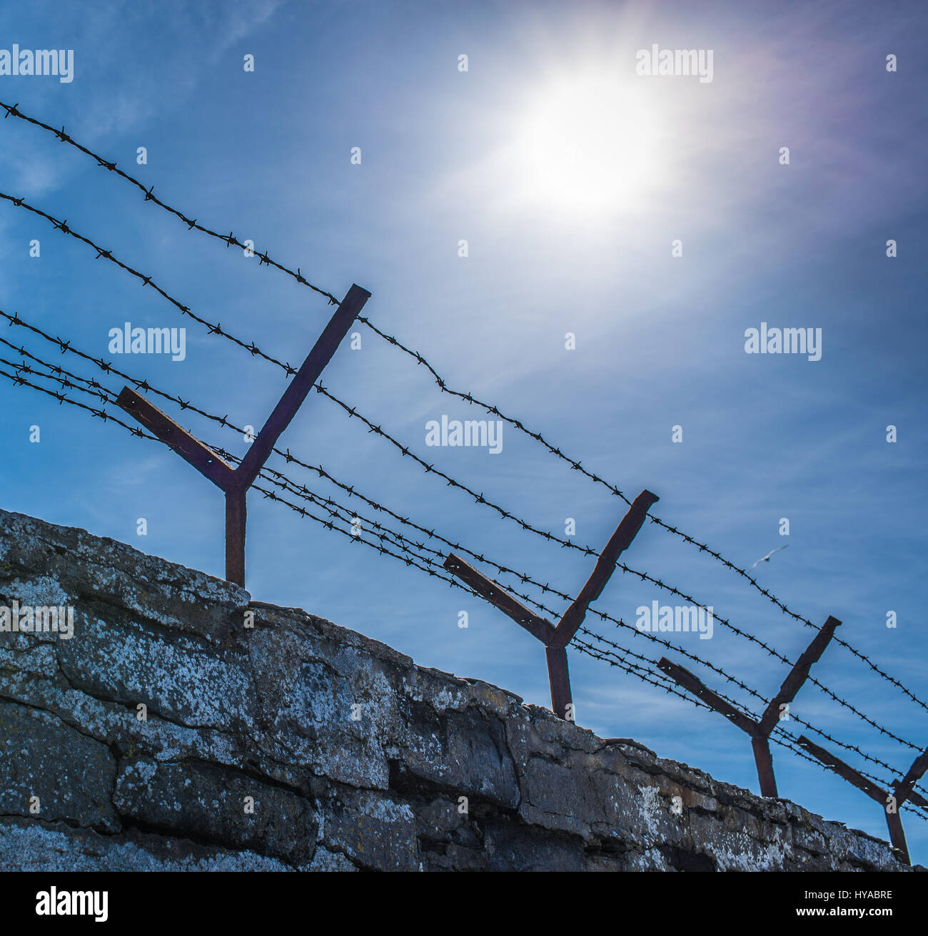 Wall with barb wire hi-res stock photography and images - Alamy