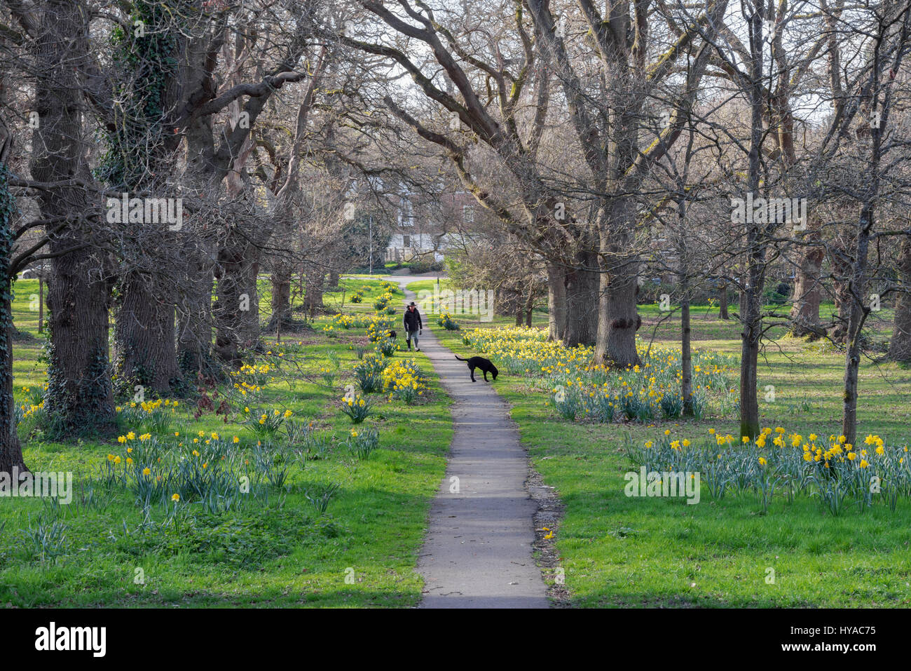 Hart village hampshire hi-res stock photography and images - Alamy
