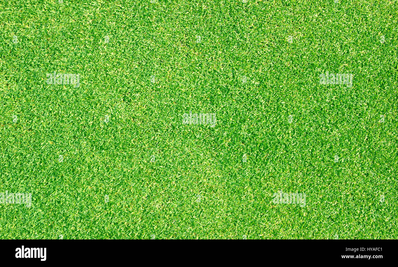 Grass field / Green grass background Golf Courses green lawn pattern ...