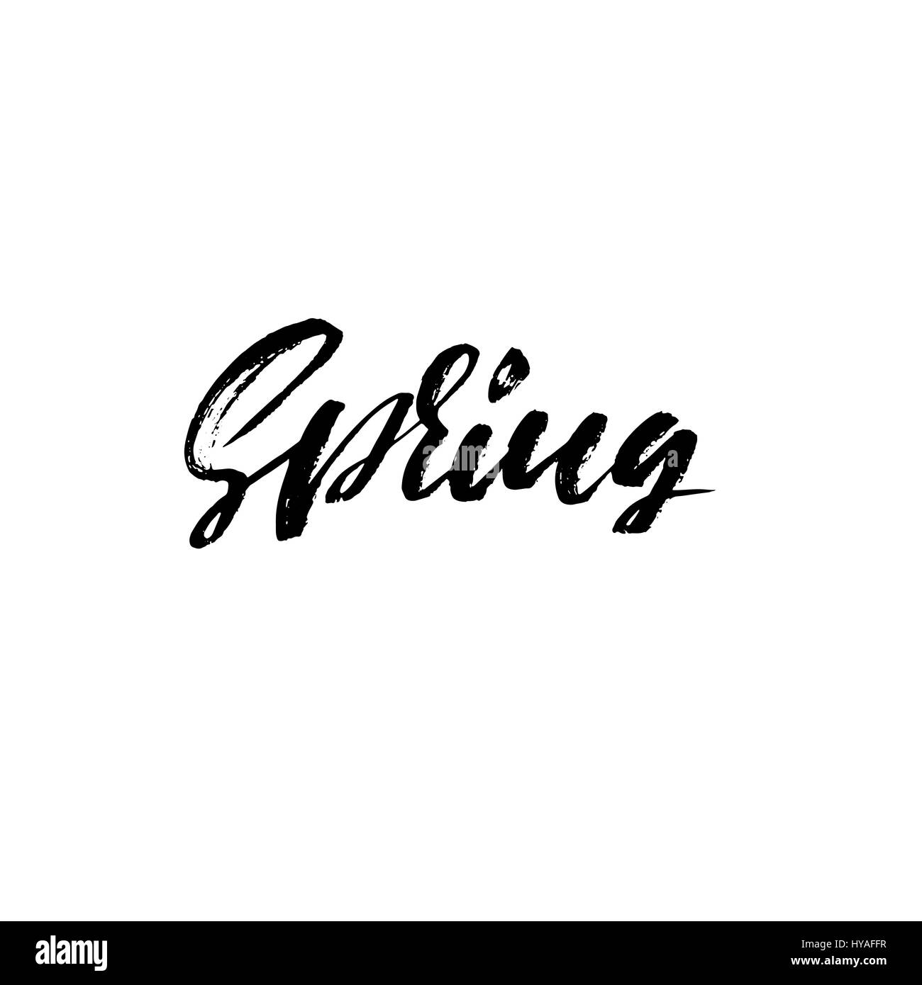 Handwritten lettering. Spring. Hand drawn calligraphy letters. Vector ...