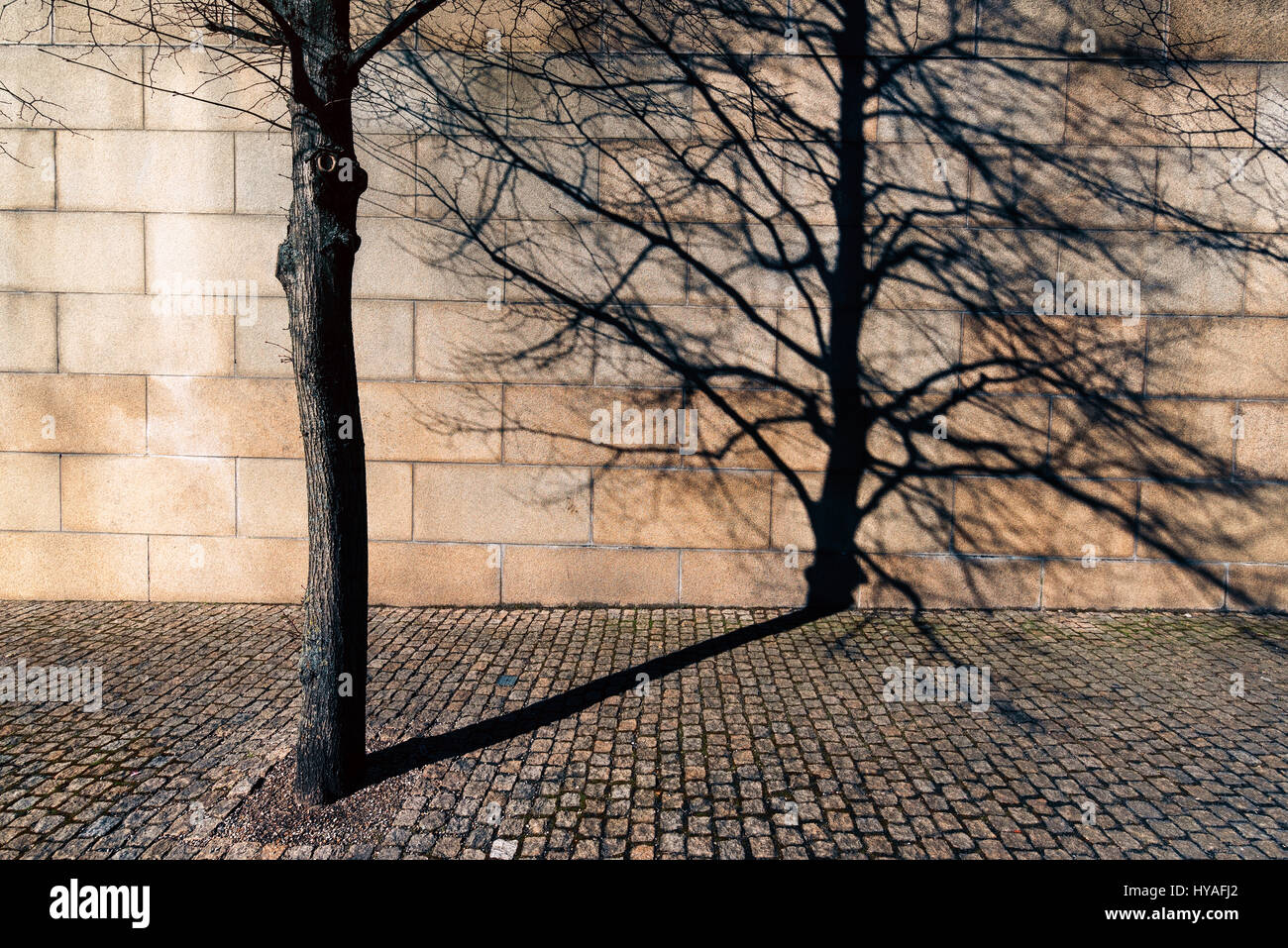 Tree Casting Shadow Stock Photos & Tree Casting Shadow Stock Images - Alamy