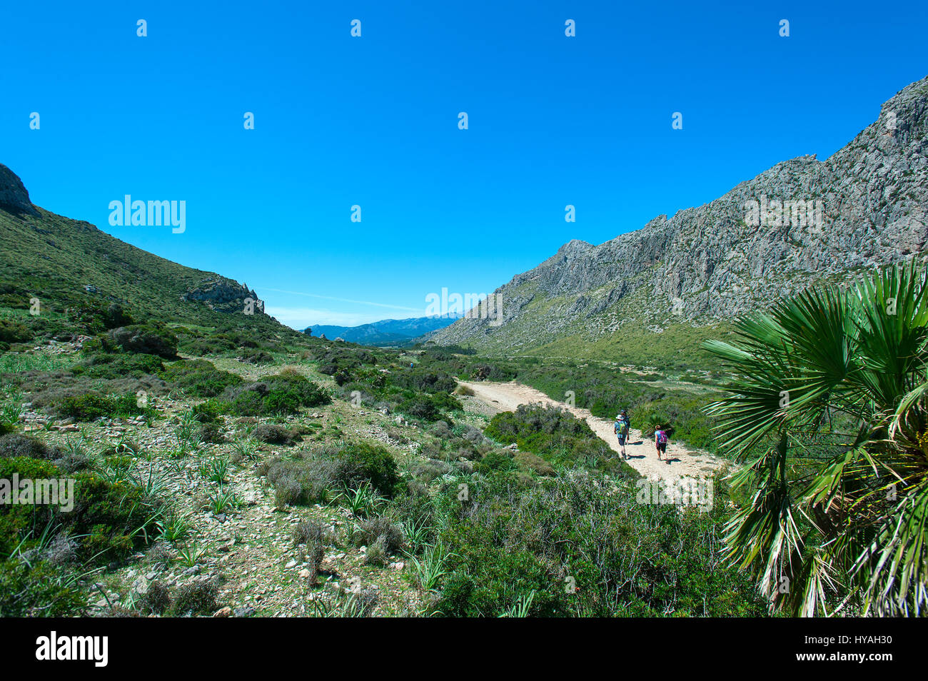 Boquer Valley, Pollenca, Mallorca, Balearics, Spain Stock Photo - Alamy