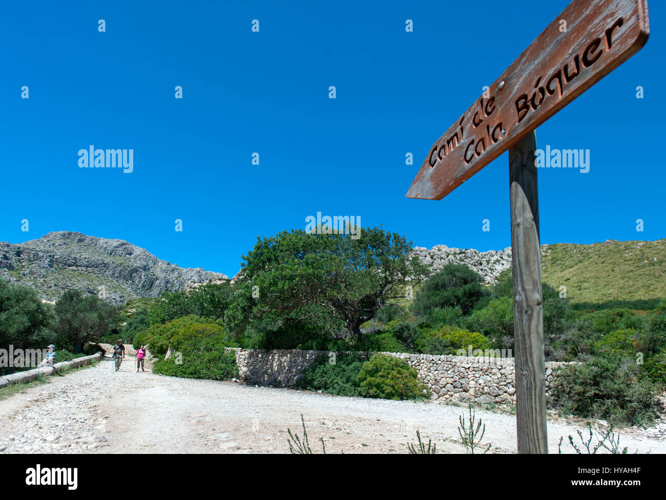 Boquer Valley, Pollenca, Mallorca, Balearics, Spain Stock Photo - Alamy
